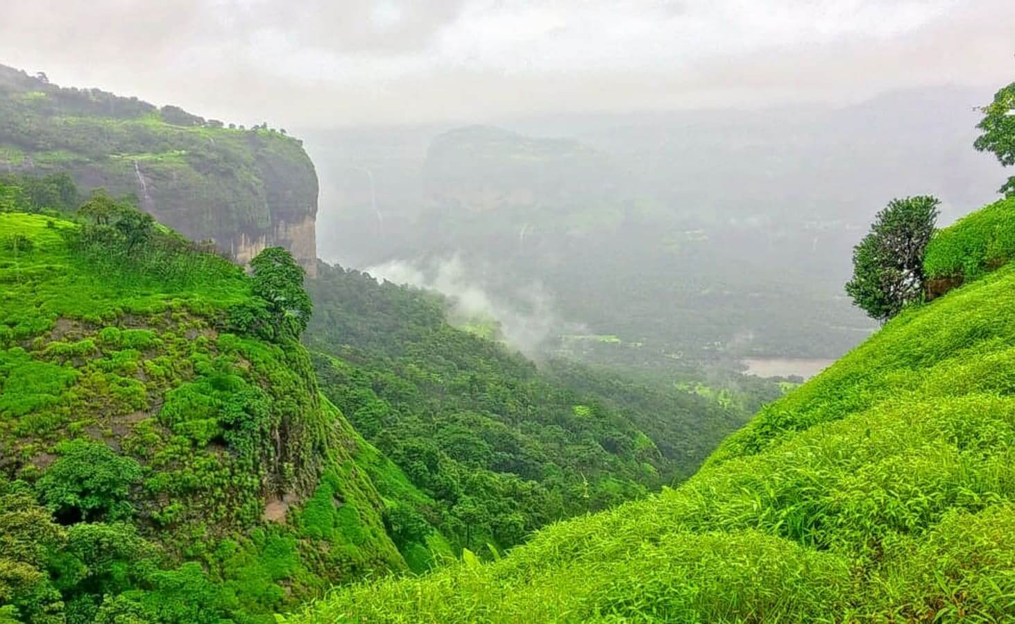 Andharban Trek: A Scenic Trail Through the Dense Forests